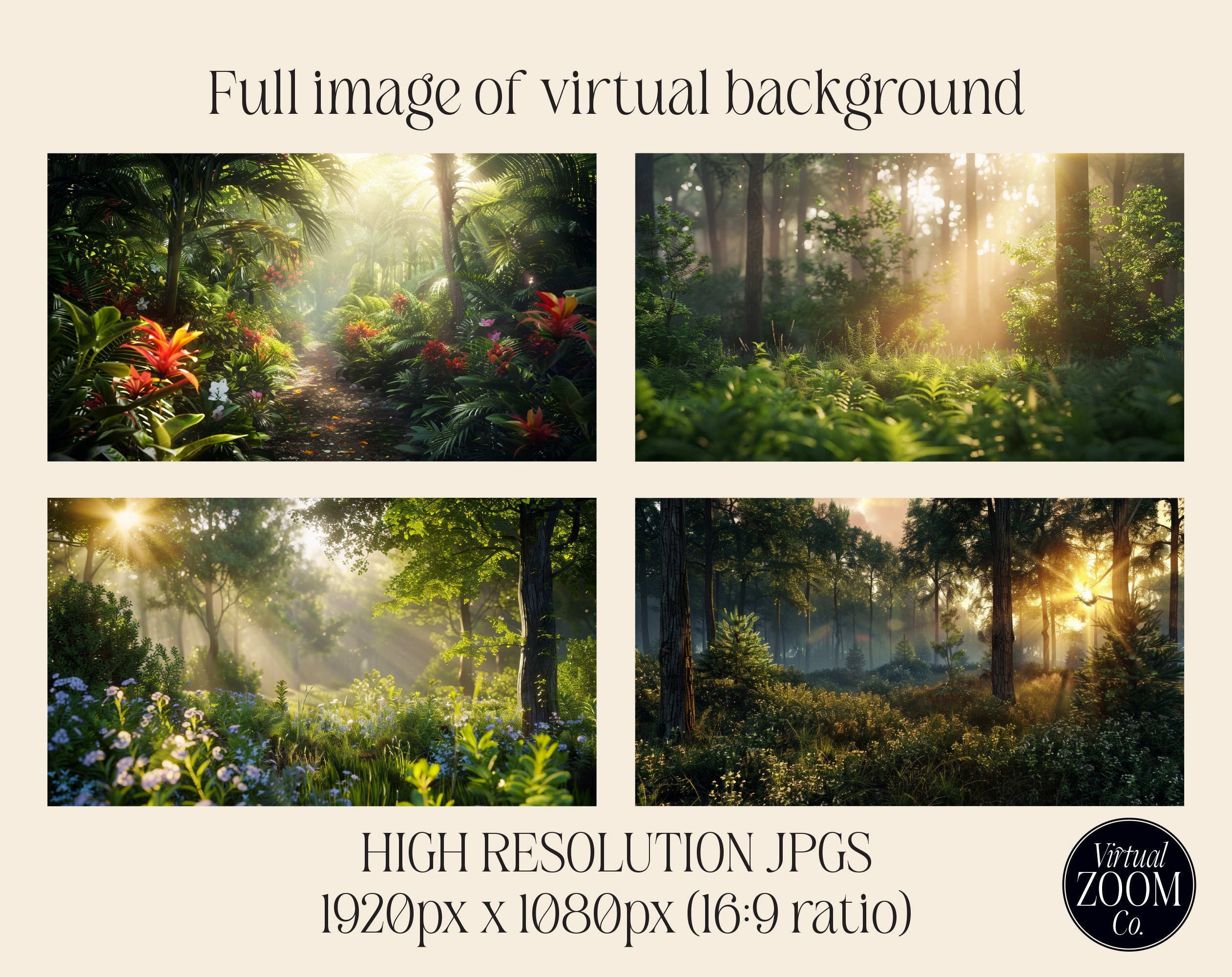 Zoom Background Nature Zoom Office Background Tropical Plants Zoom ...