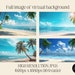 Zoom Background Beach Zoom Virtual Background Beaches Zoom Tropical ...