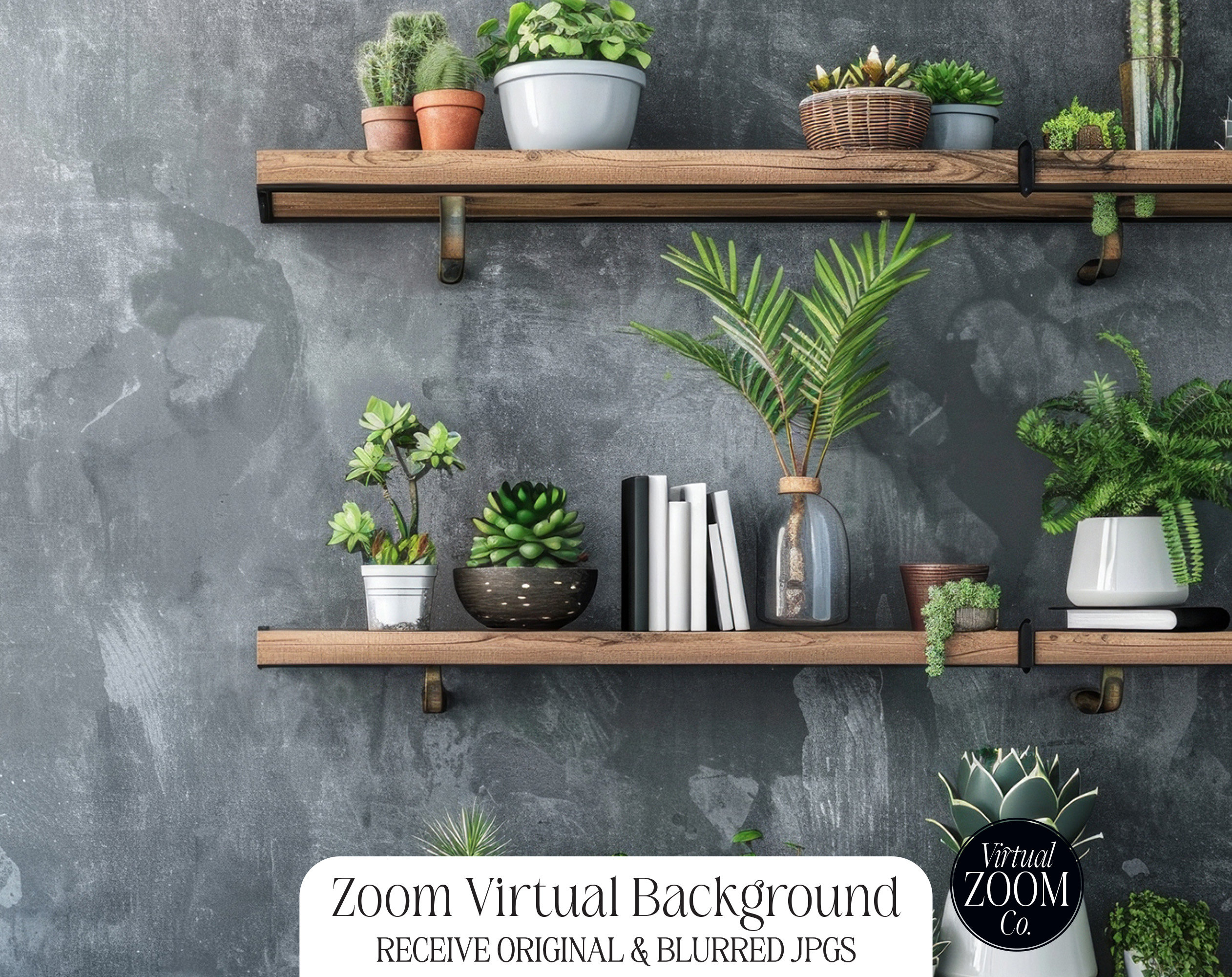 Zoom Background Indoor Plants Zoom Meeting Plants on Shelves Virtual ...