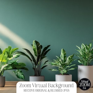 Zoom Background Green Wall Zoom Minimalist Office Background Zoom ...