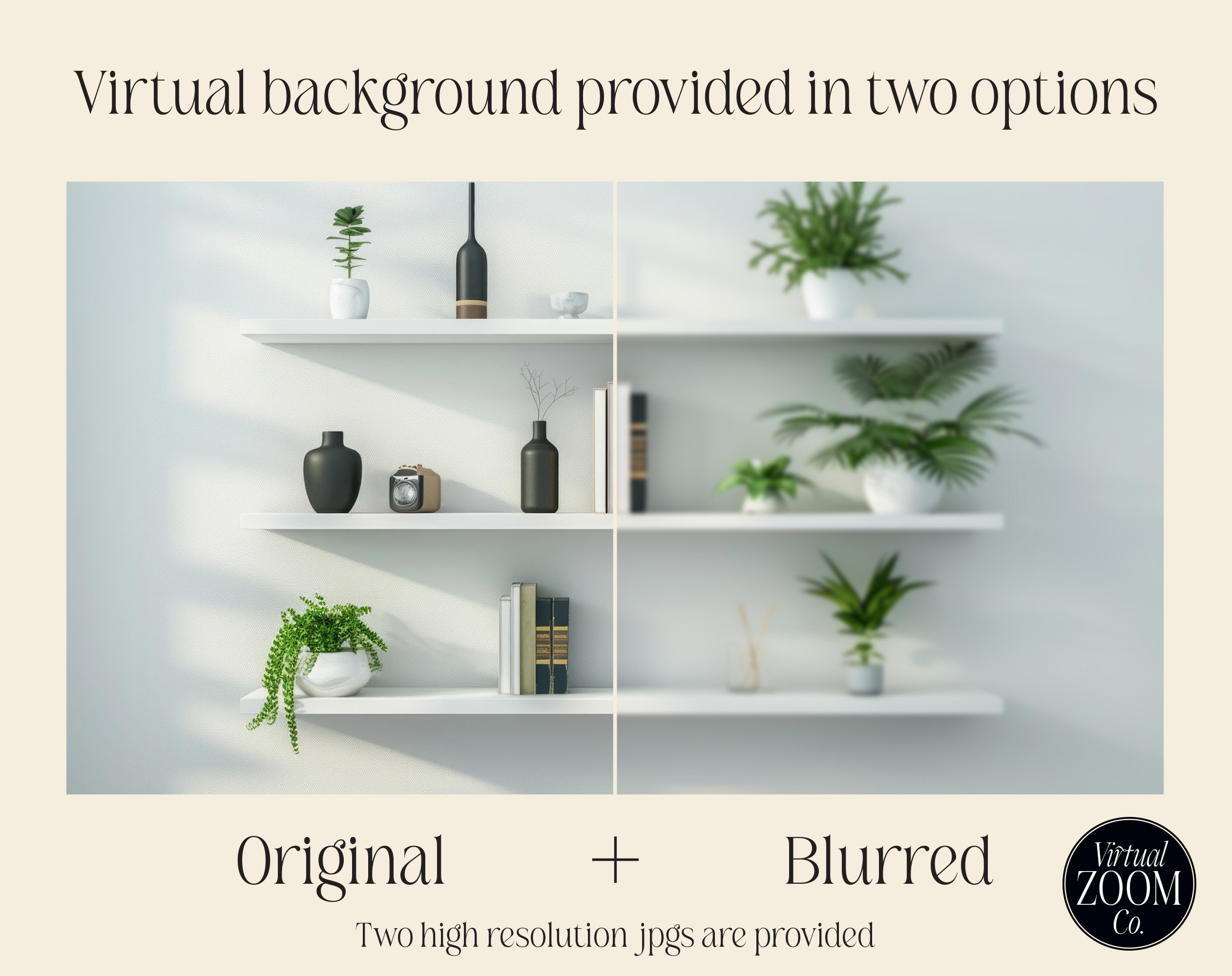 Zoom Background Indoor Plants Zoom Meeting Plants on Shelves Virtual ...