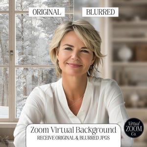 Zoom Background Snow Christmas Zoom Winter Theme Virtual Bookshelf ...