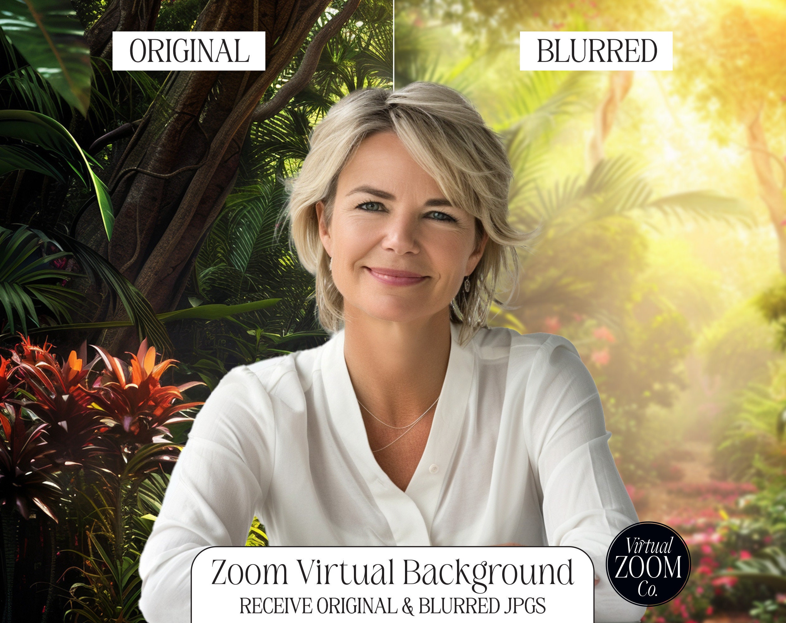 Zoom Background Nature Zoom Office Background Tropical Plants Zoom ...