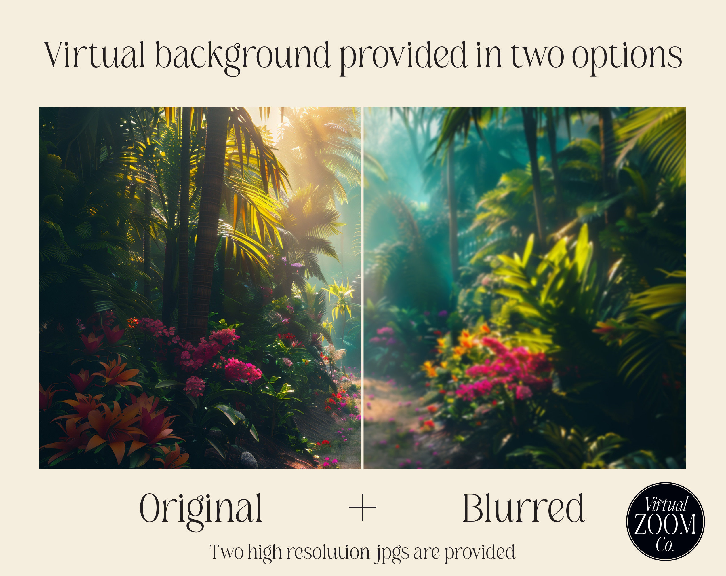 Zoom Background Nature Zoom Office Background Tropical Plants Zoom ...