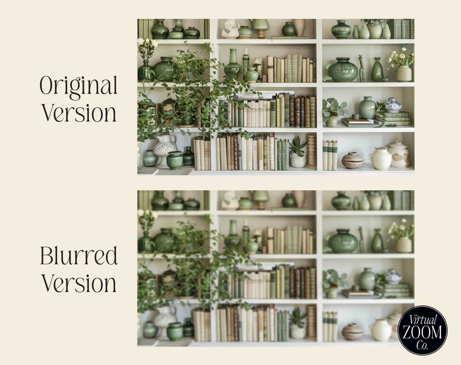 Zoom Background Bookshelf With Plants Green Virtual Bookshelf for Zoom ...