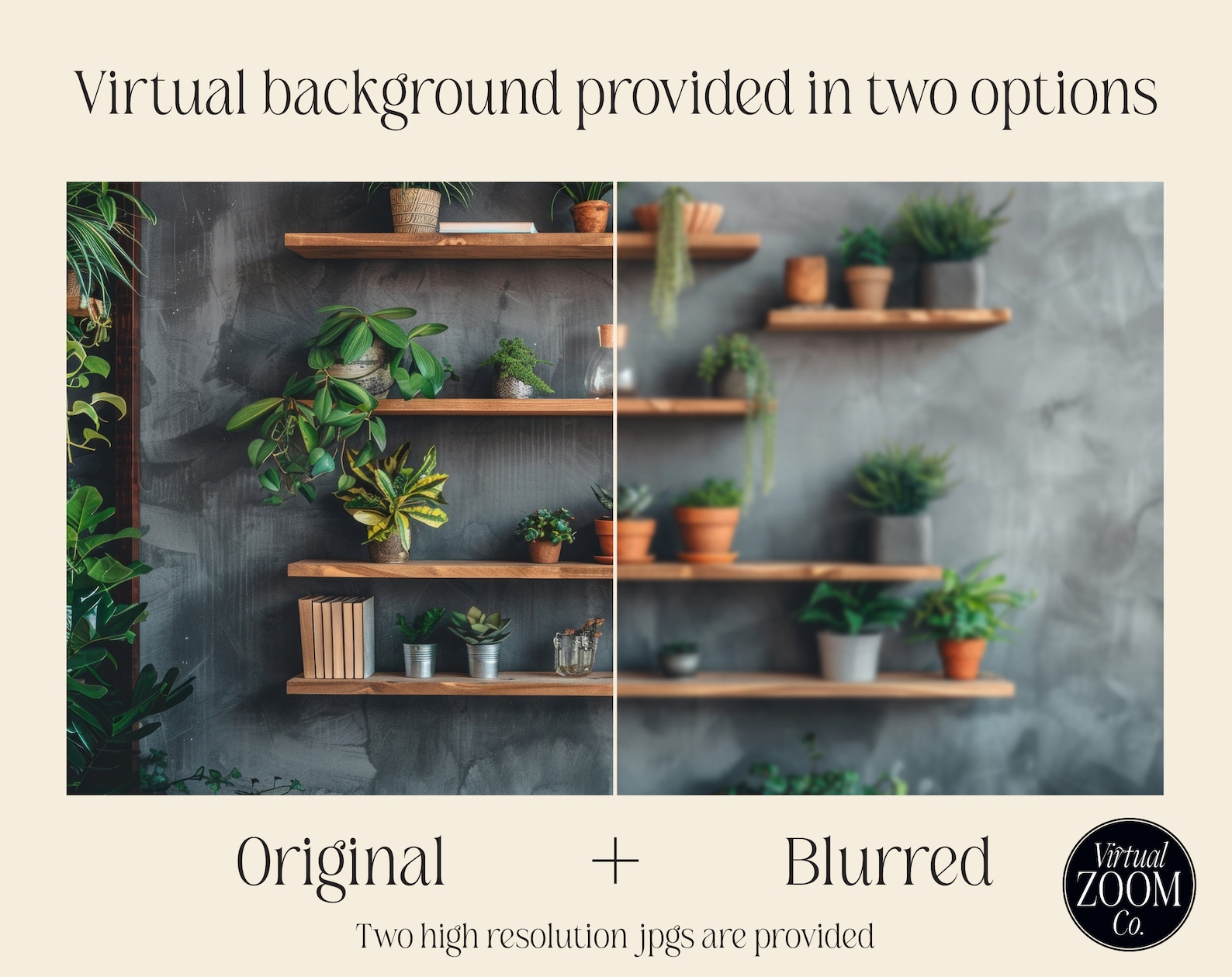Zoom Background Plants on Shelves Virtual Background Indoor Plants Zoom ...