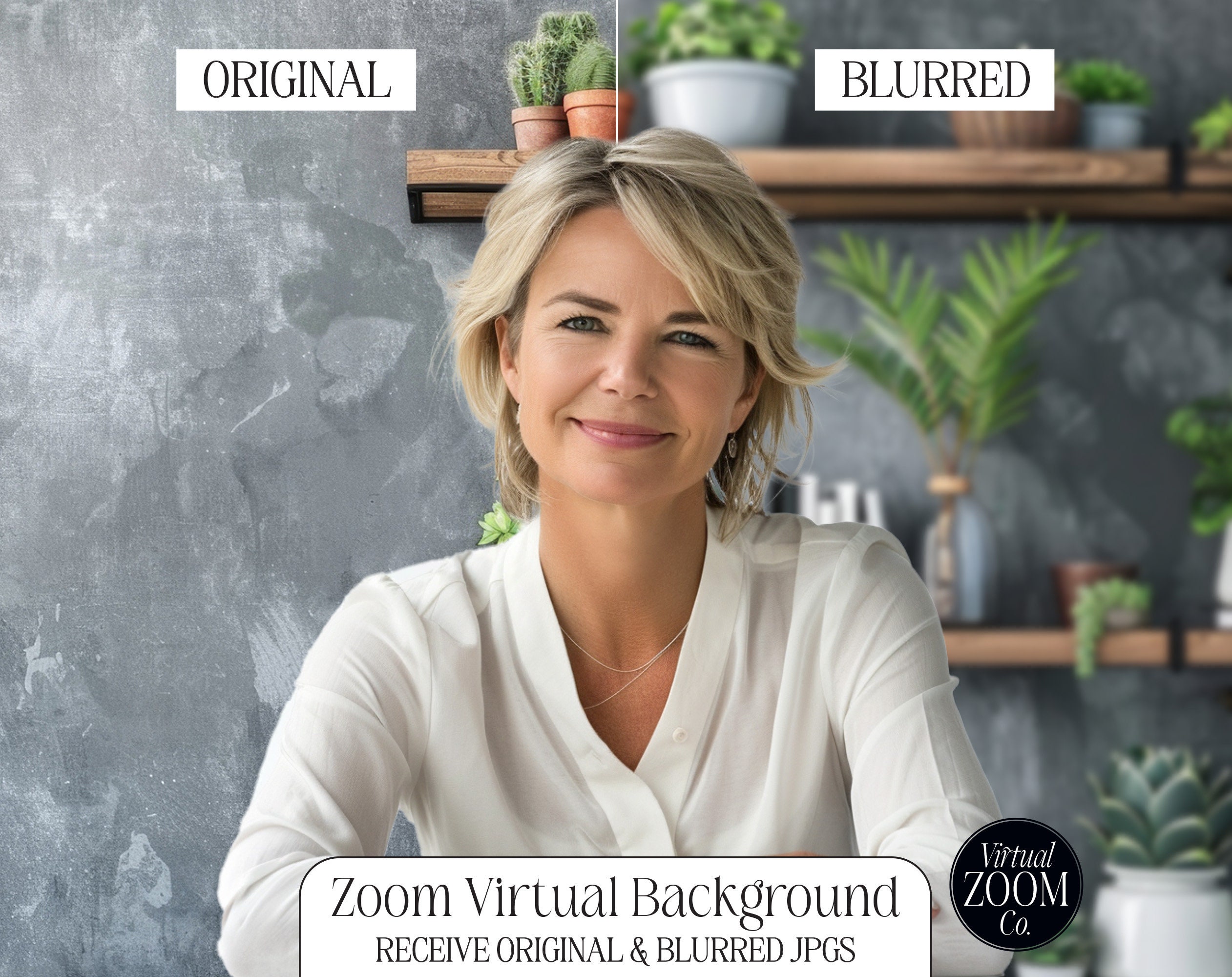 Zoom Background Indoor Plants Zoom Meeting Plants on Shelves Virtual ...