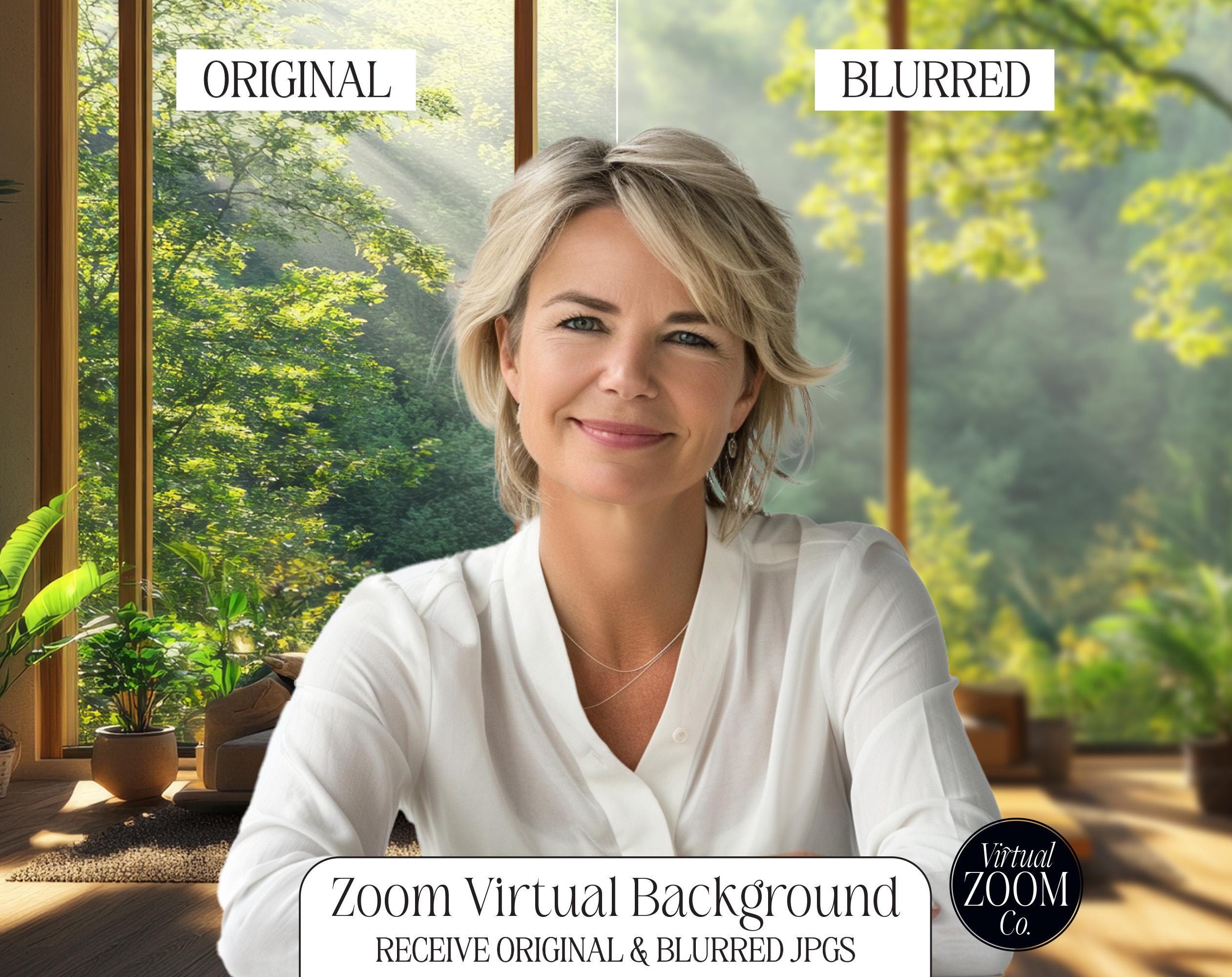 Zoom Background Indoor Plants Window Seat Zoom Office Window View Zoom ...