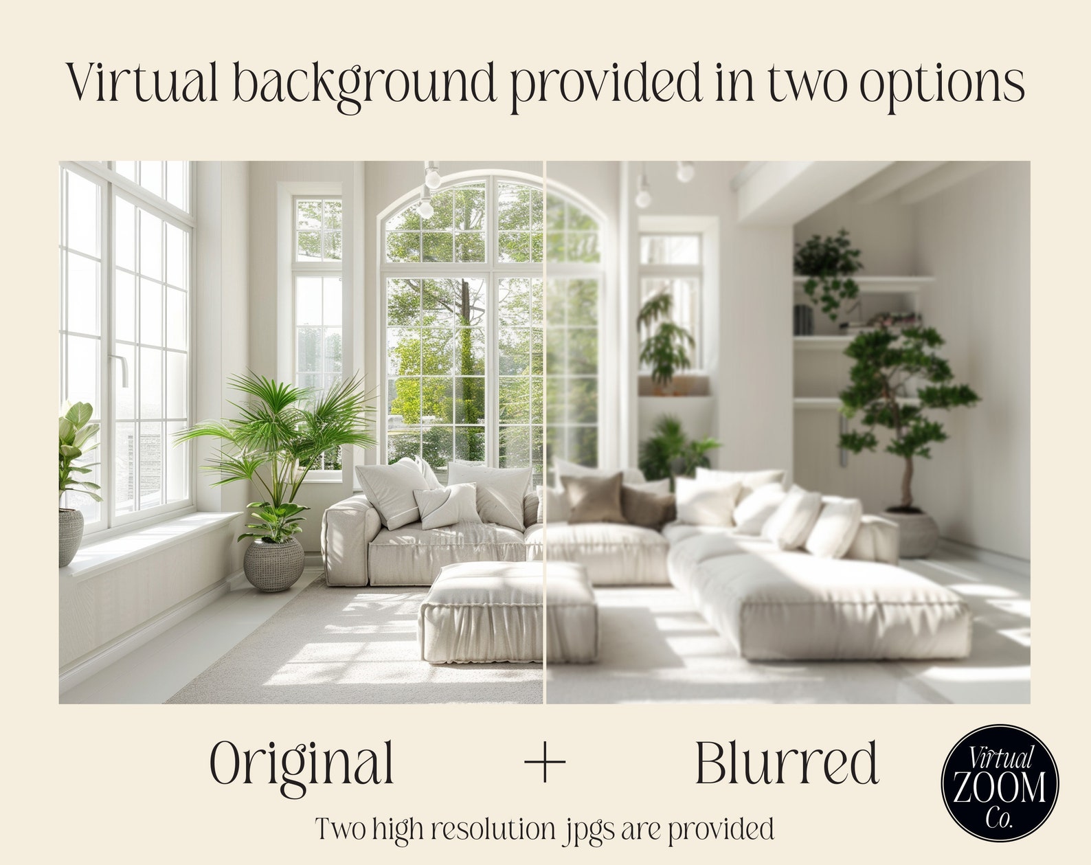 Zoom Background Professional Zoom Background Luxury Home White Home ...