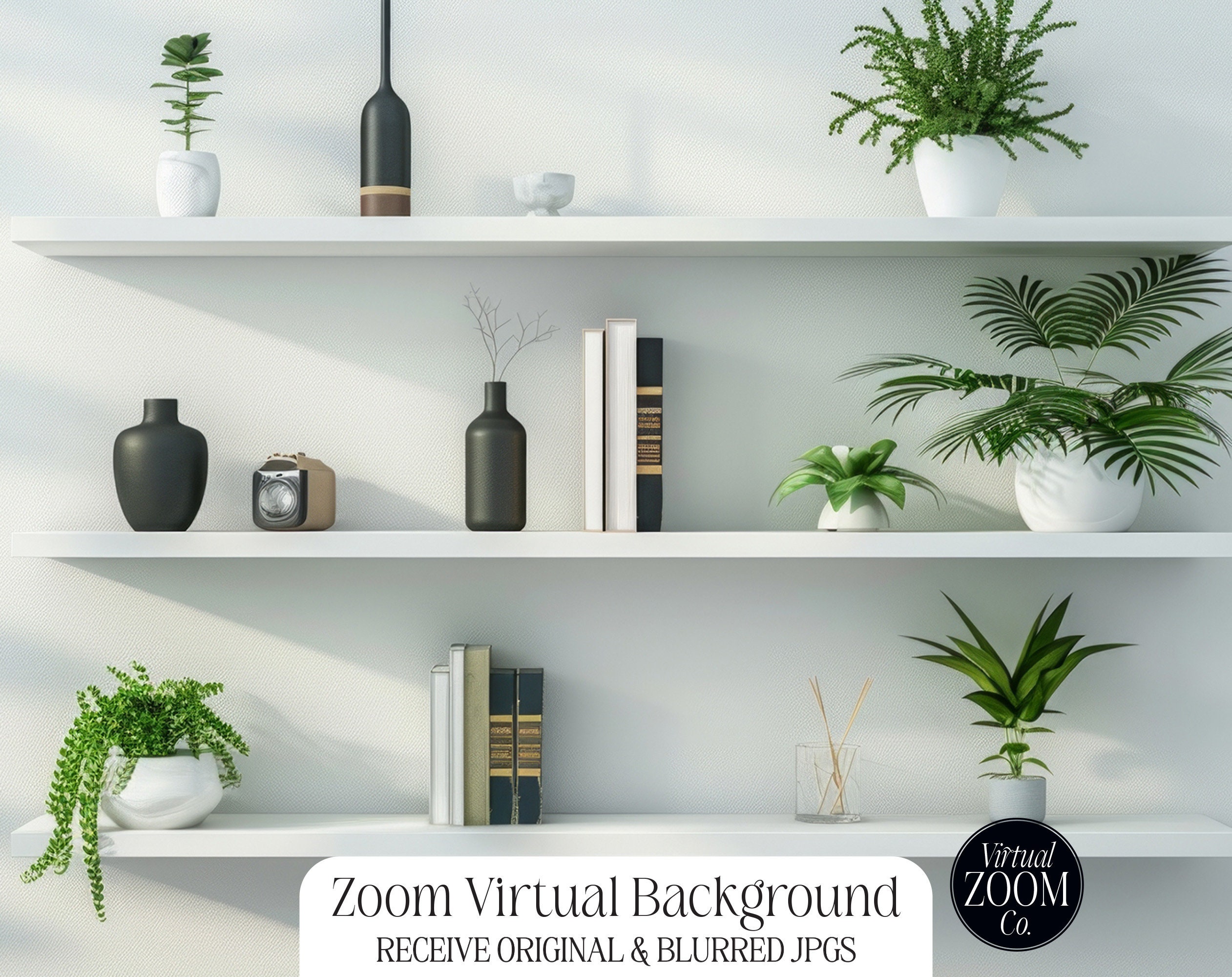 Zoom Background Indoor Plants Zoom Meeting Plants on Shelves Virtual ...