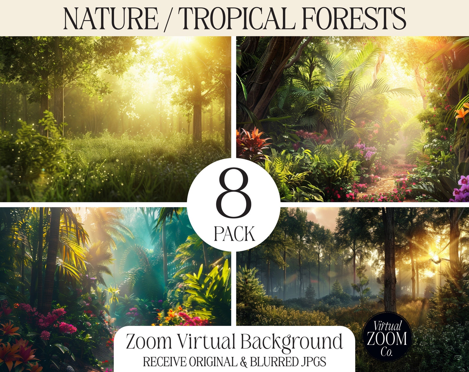 Zoom Background Nature Zoom Office Background Tropical Plants Zoom ...
