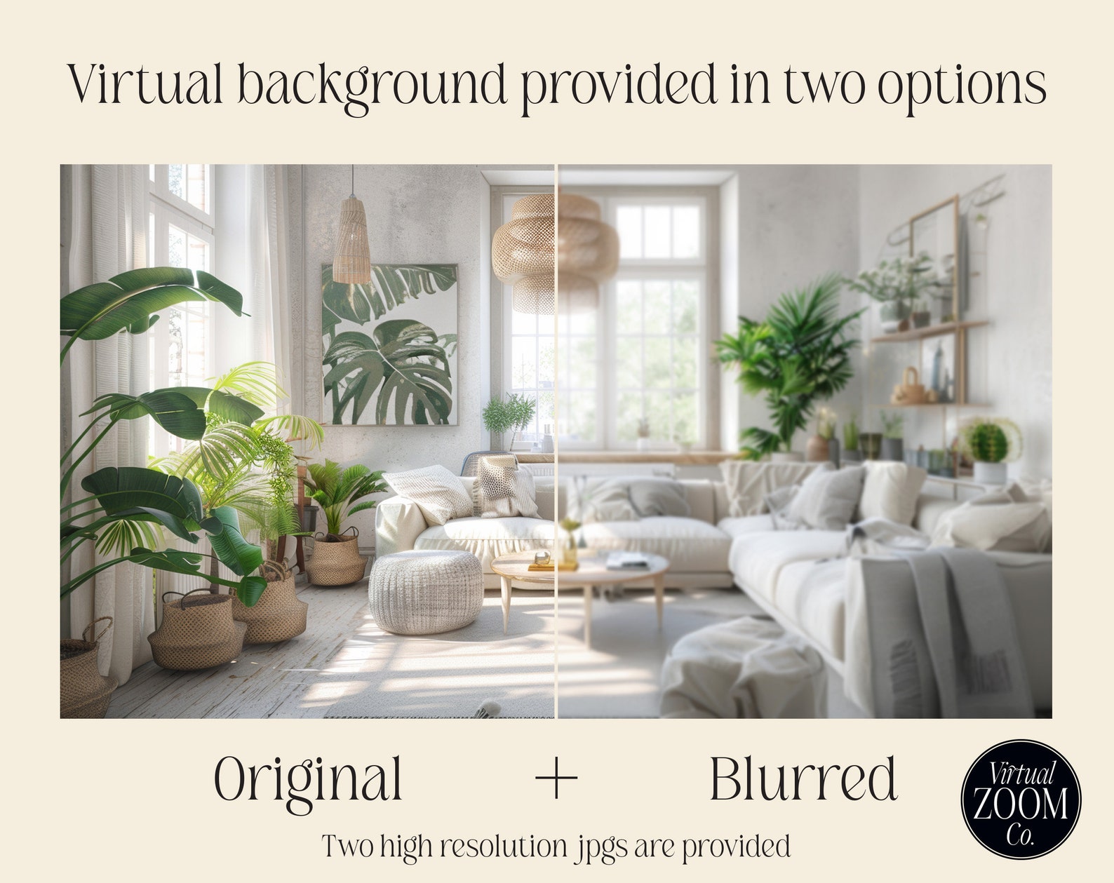 Zoom Background Plant Zoom Background Plant Virtual Boho Home Plant ...