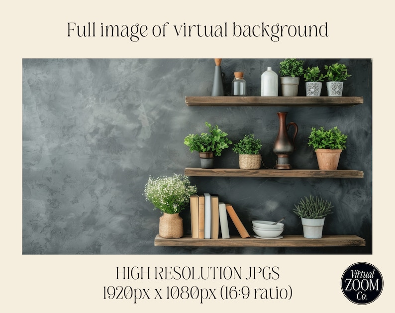 Zoom Background Indoor Plants Zoom Meeting Plants on Shelves Virtual ...