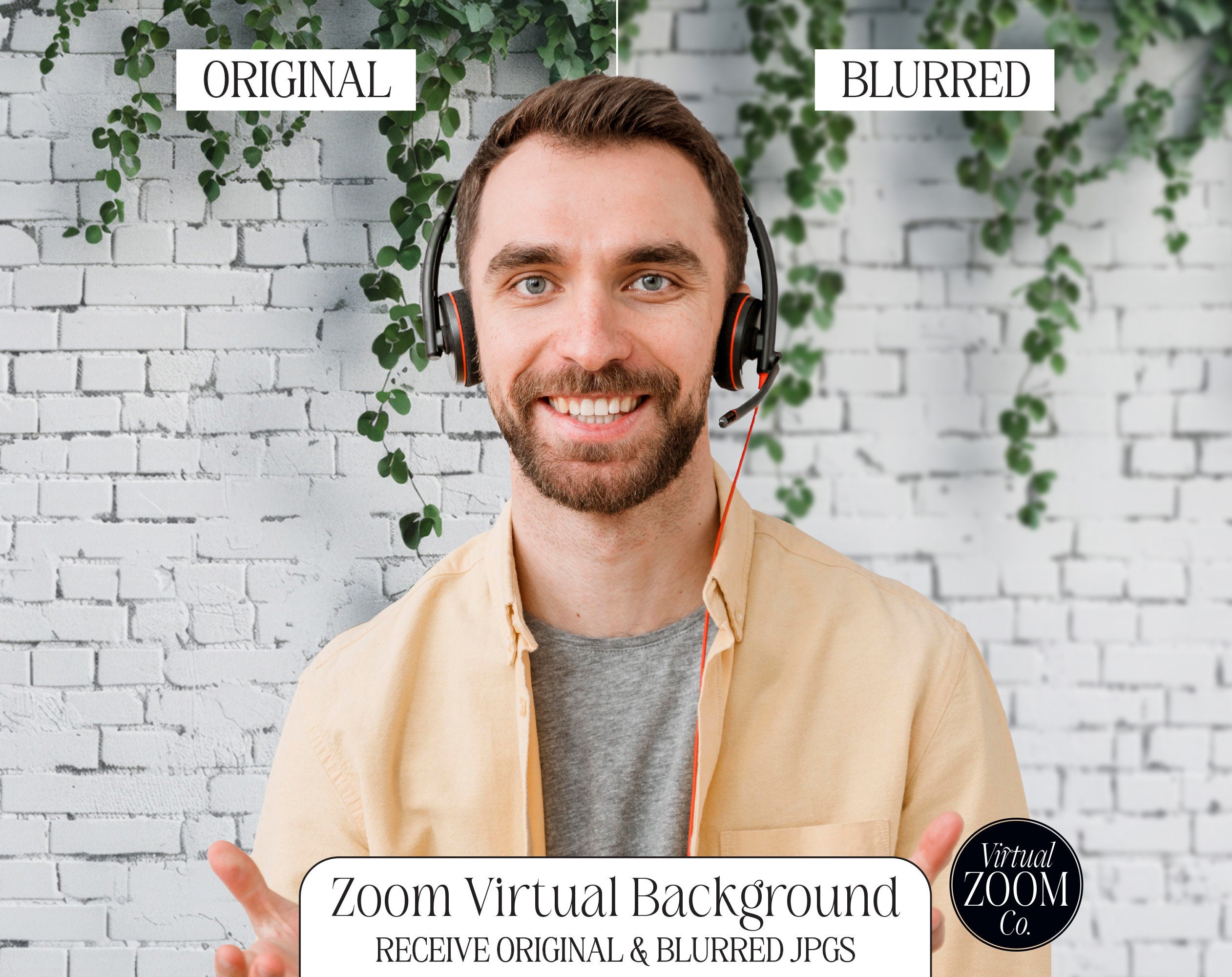 Zoom Background White Brick Wall With Creeper Vine Wall Zoom Background ...