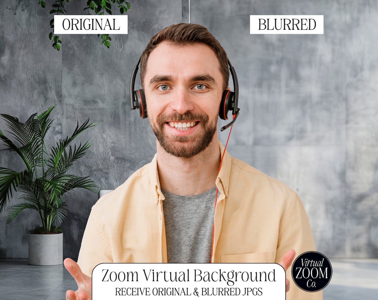 Zoom Background Concrete Wall With Plants Plant Background Wall Virtual ...