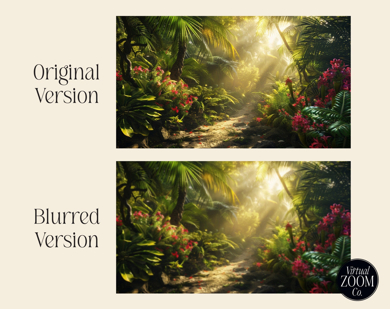 Zoom Background Nature Image Tropical Oasis Tropical Flower Jungle ...