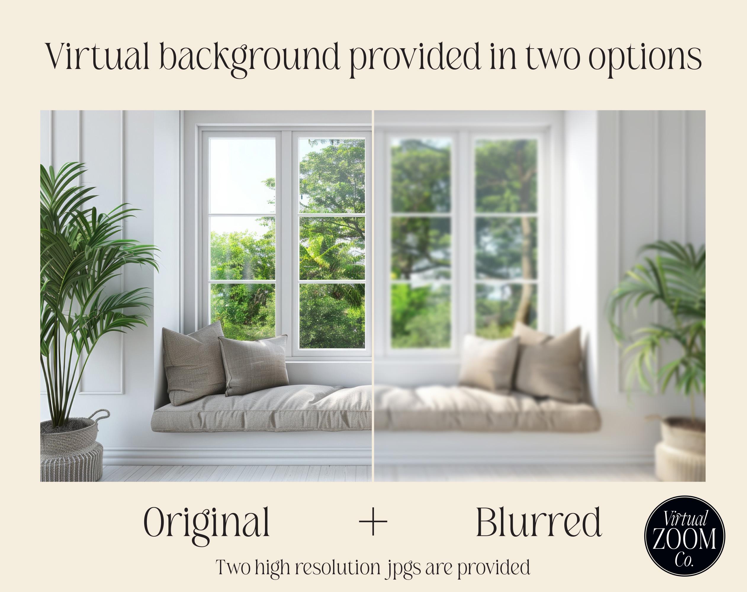 Zoom Background Sunroom Professional Zoom Window View Background Home ...