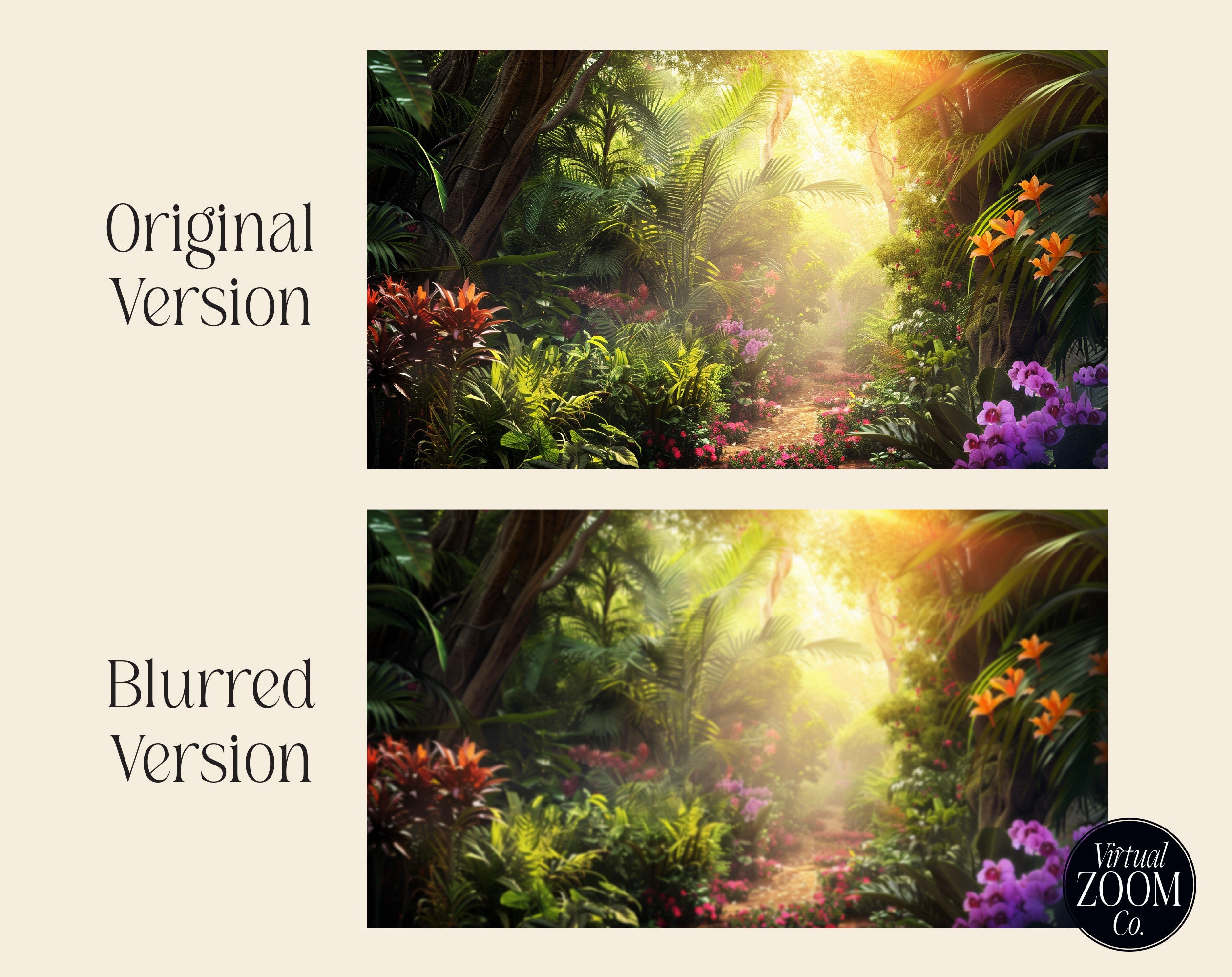 Zoom Background Nature Zoom Office Background Tropical Plants Zoom ...