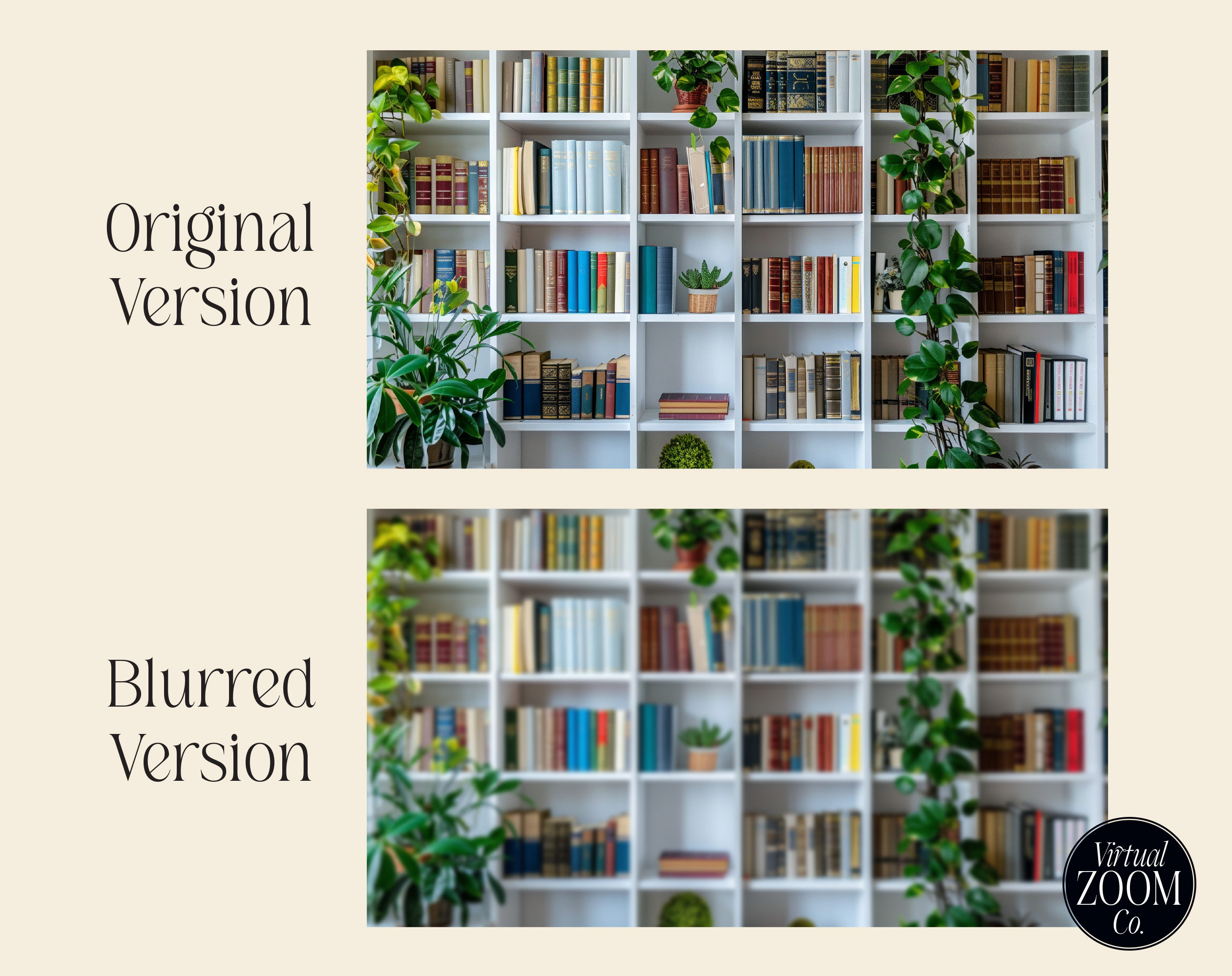 Zoom Background Colored Books on Bookshelf Bookshelf Zoom Professional ...