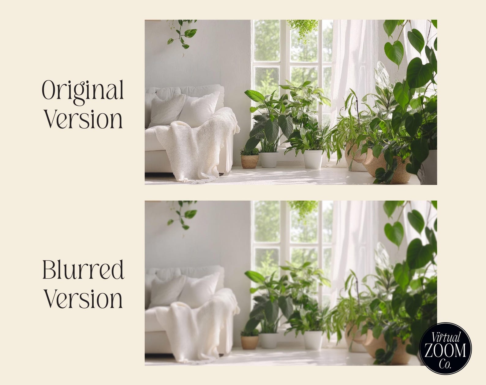 Zoom Background Plant Room Professional Zoom Window View Background ...