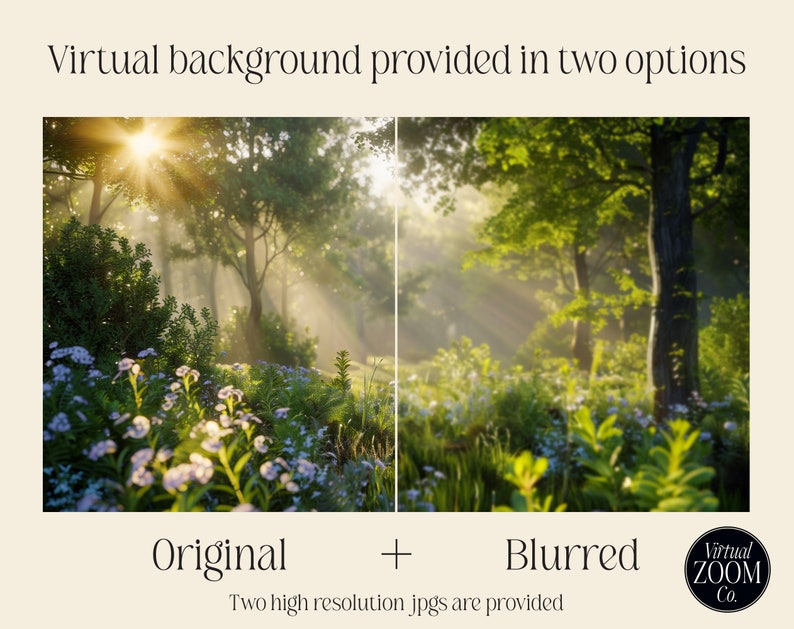 Zoom Background Nature Zoom Office Background Tropical Plants Zoom ...