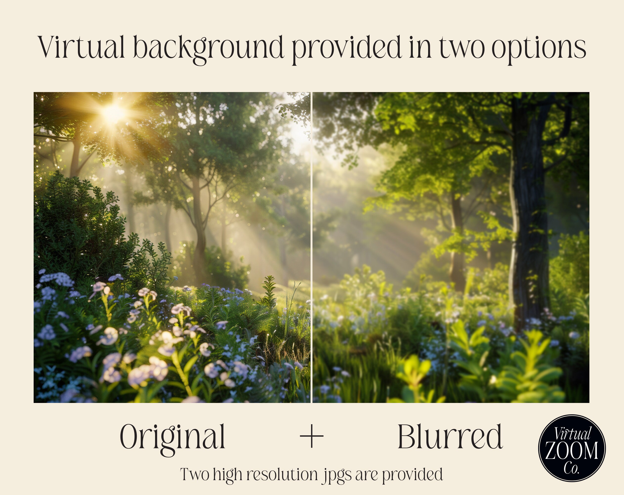 Zoom Background Nature Zoom Office Background Tropical Plants Zoom ...