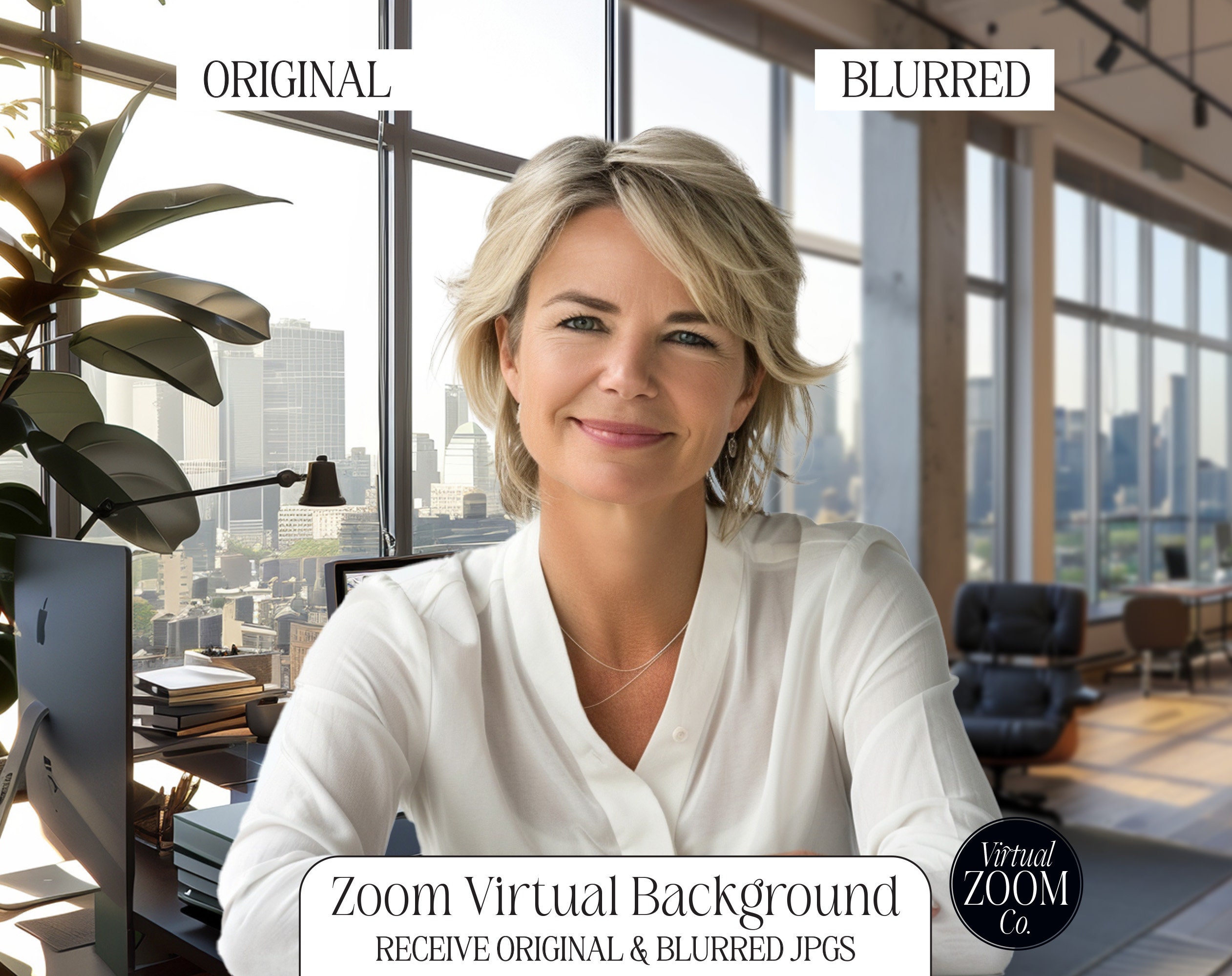 Zoom Background Professional Zoom Background Corporate Office Zoom ...