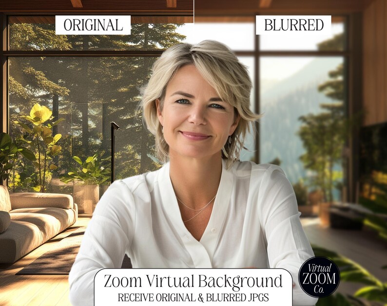 Zoom Background Indoor Plants Window Seat Zoom Office Window View Zoom ...