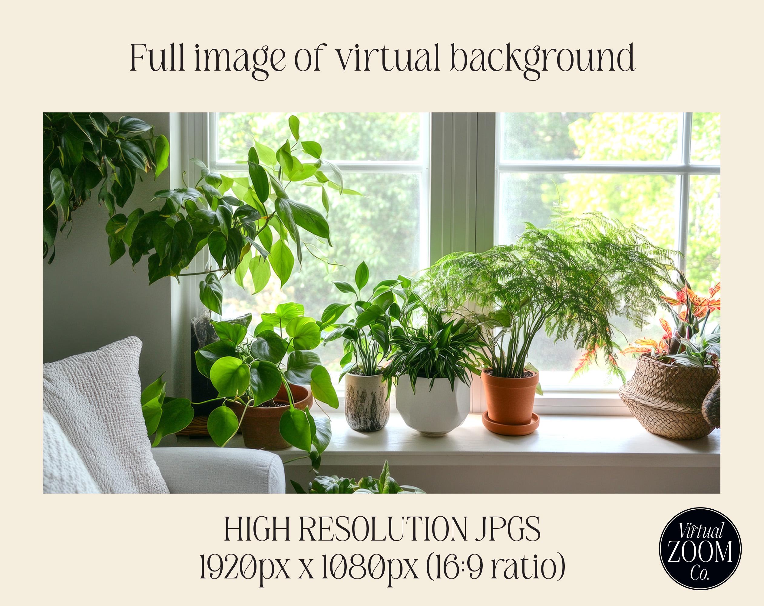 Zoom Background Plant Sunroom Professional Zoom Window View Background ...