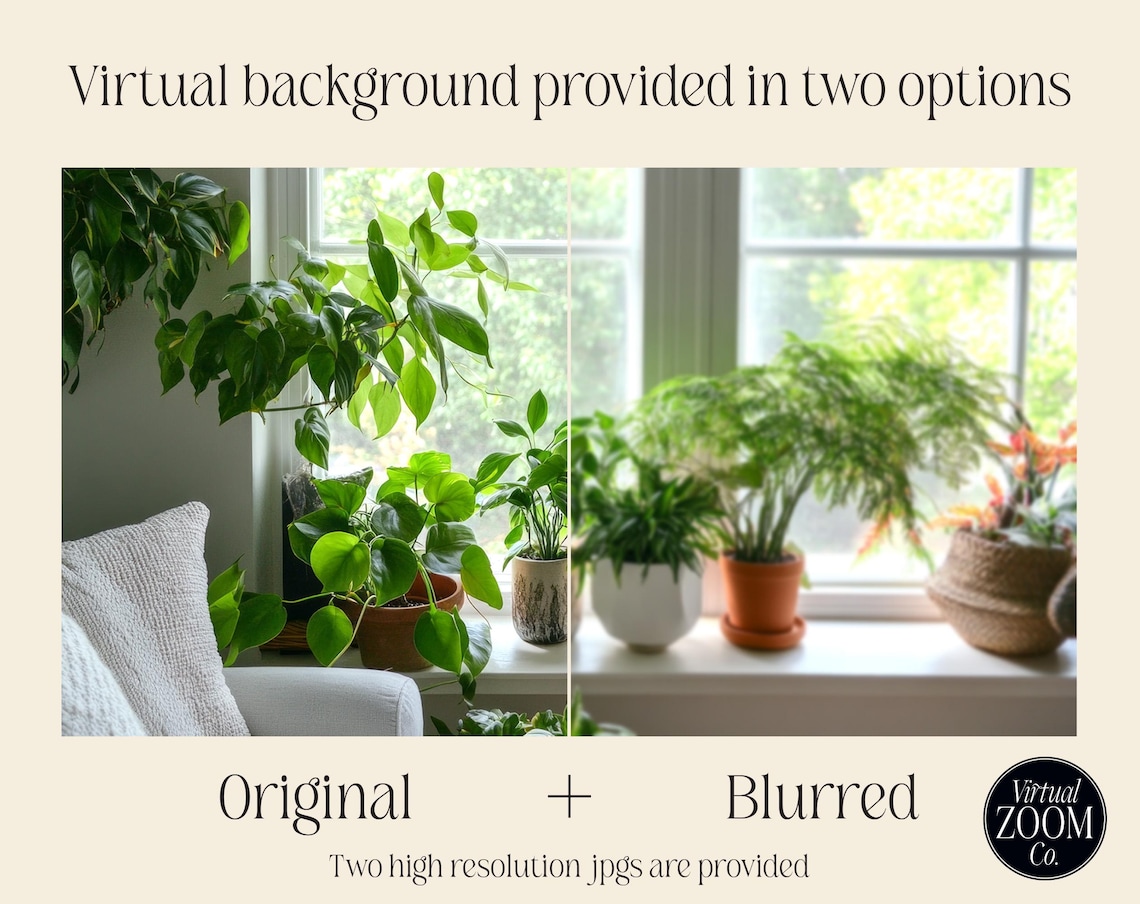 Zoom Background Plant Sunroom Professional Zoom Window View Background ...