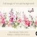 Zoom Background Spring Cottage Garden Zoom Zoom Photo Snapdragon ...
