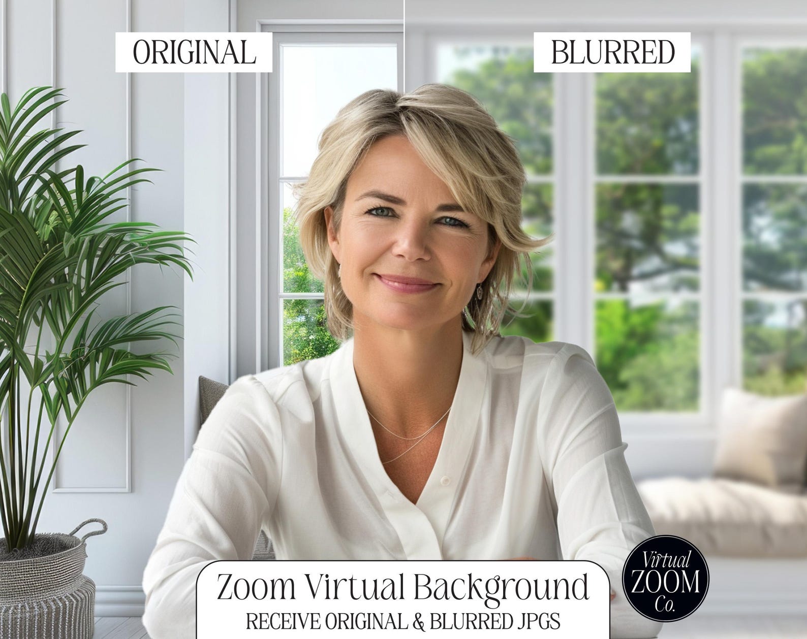 Zoom Background Sunroom Professional Zoom Window View Background Home ...