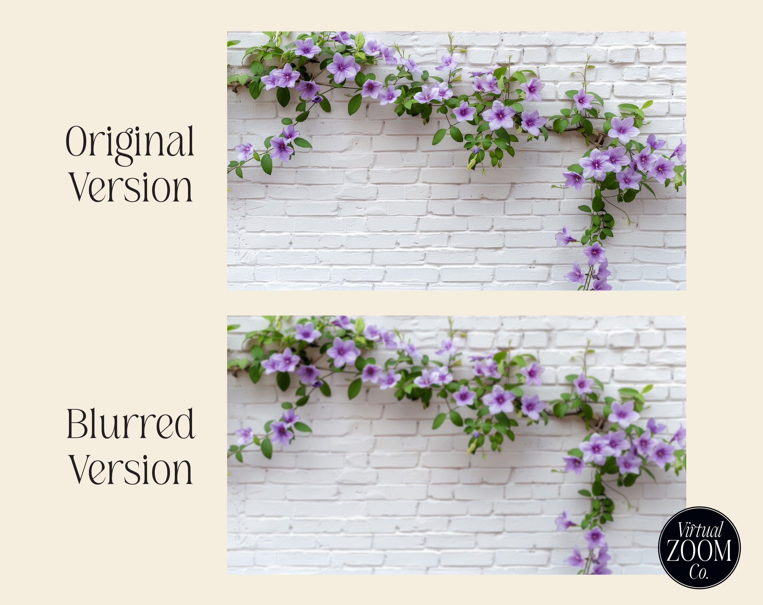 Zoom Background White Brick Wall With Purple Flowers Zoom Background ...