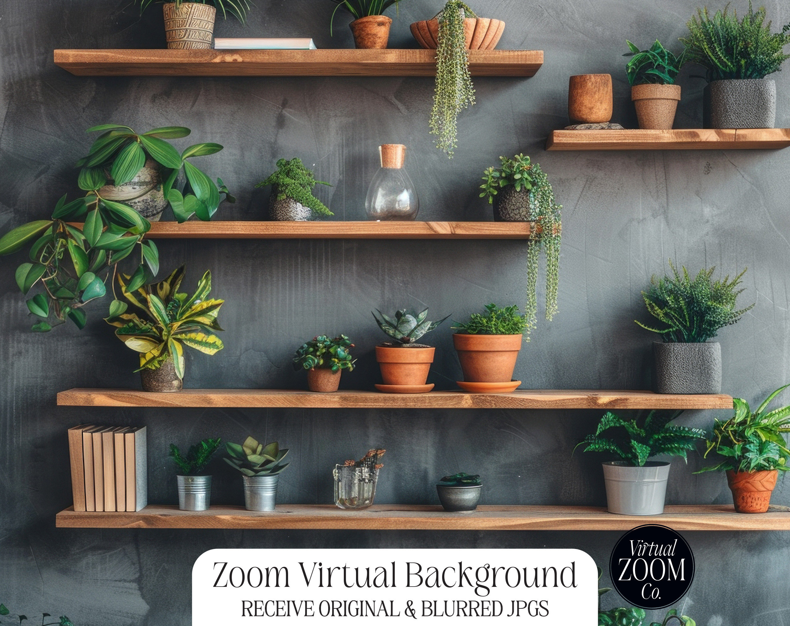 Zoom Background Plants on Shelves Virtual Background Indoor Plants Zoom ...