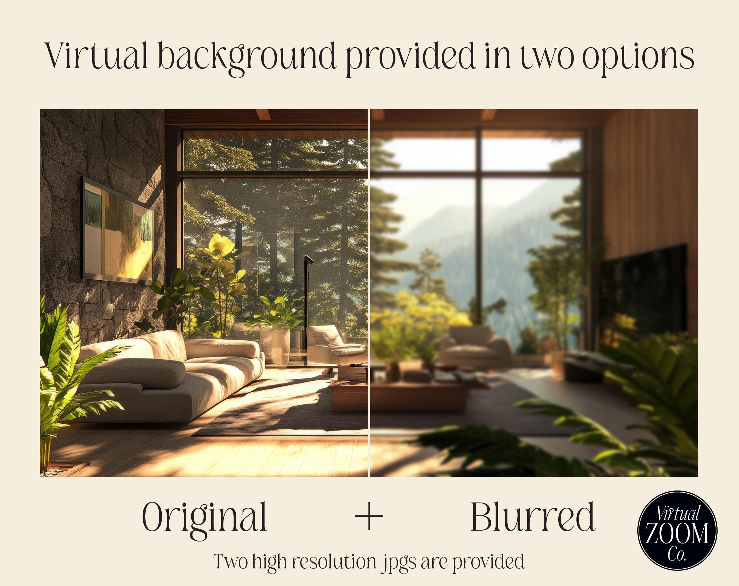 Zoom Background Indoor Plants Window Seat Zoom Office Window View Zoom ...