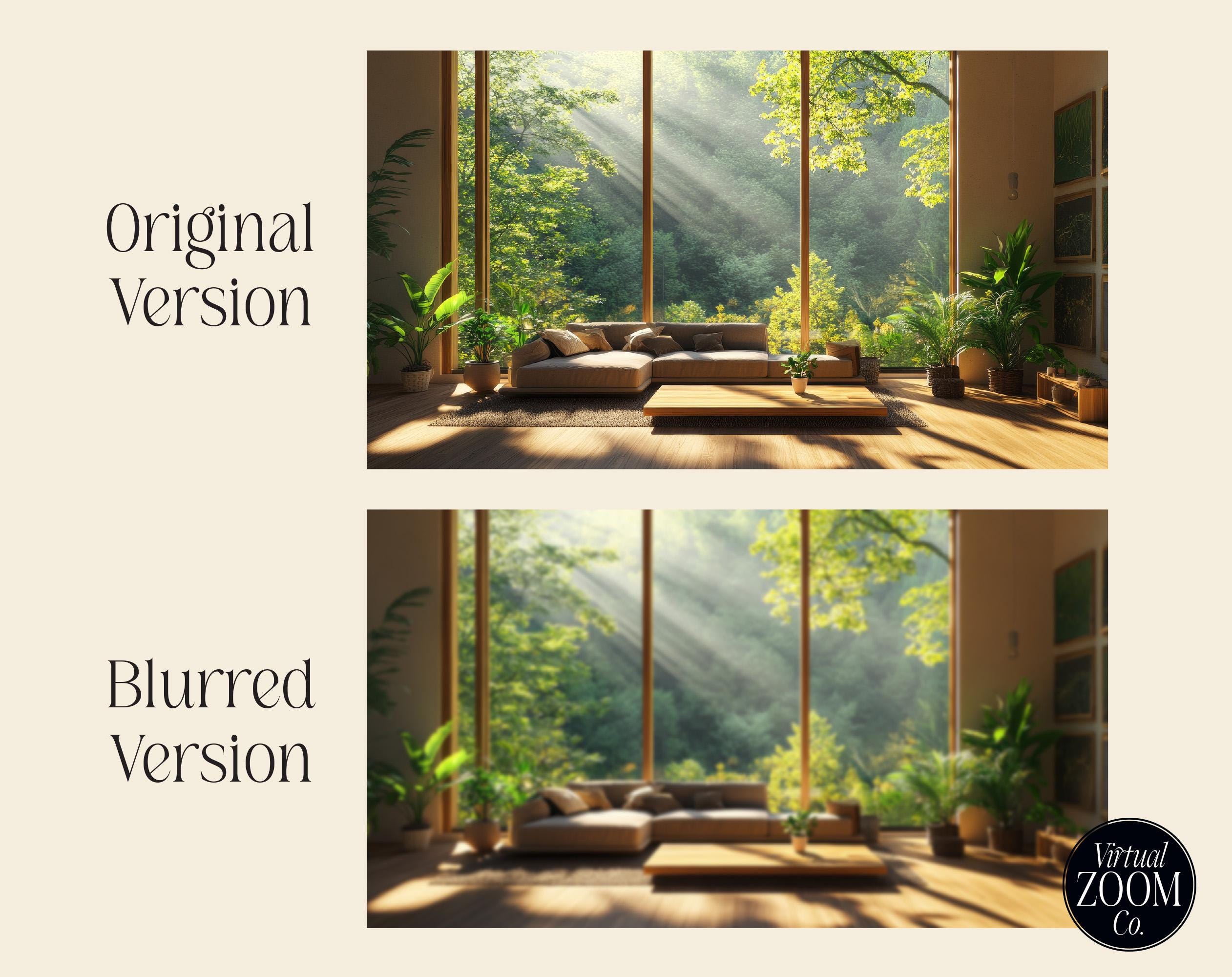 Zoom Background Indoor Plants Window Seat Zoom Office Window View Zoom ...