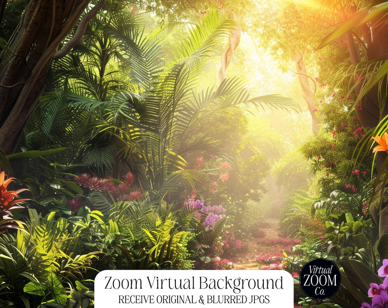 Zoom Background Nature Zoom Office Background Tropical Plants Zoom ...