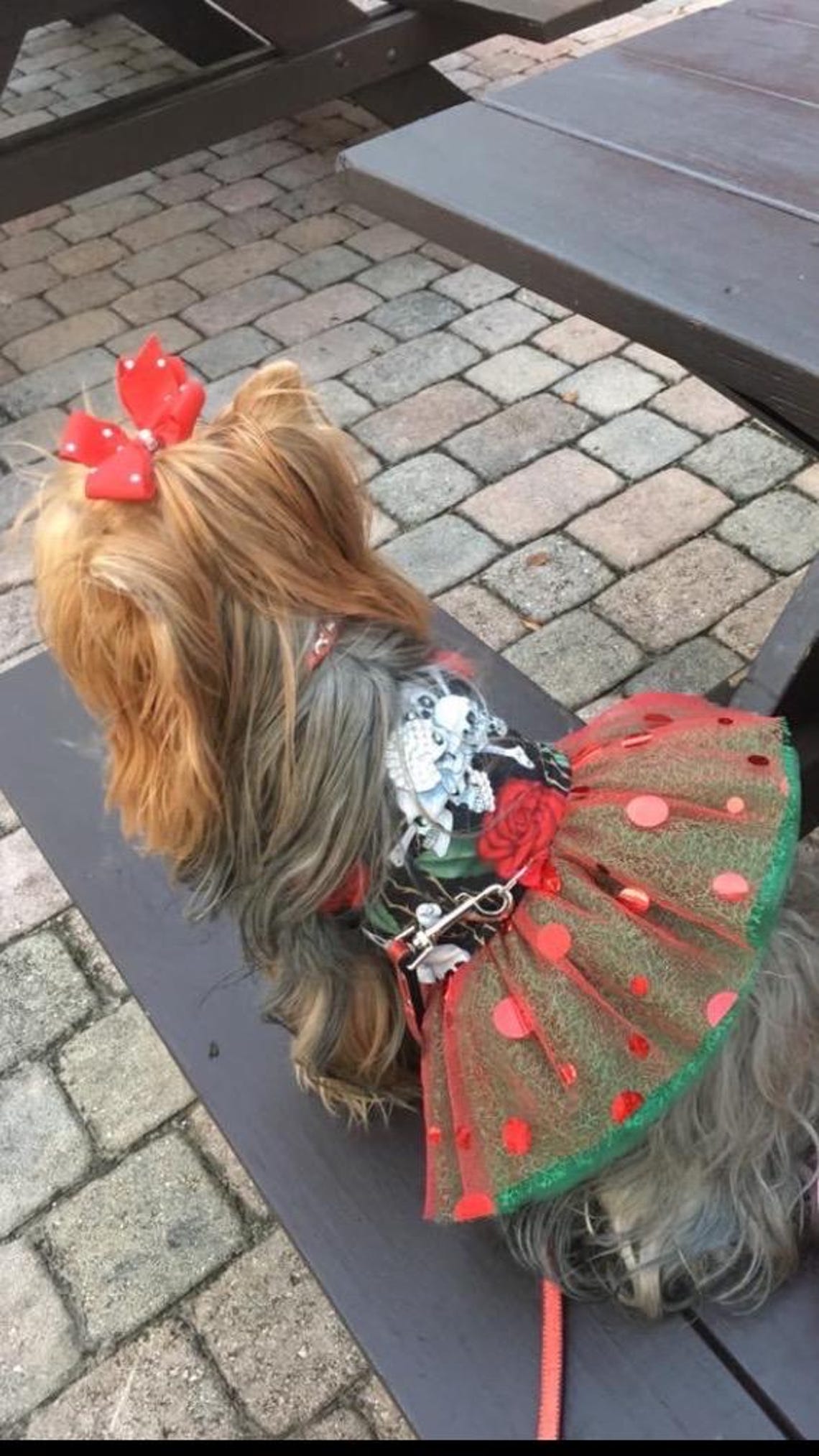 Cotton Skull and Bone Roses Halloween Dog Tutu Dress With Rhinestone ...