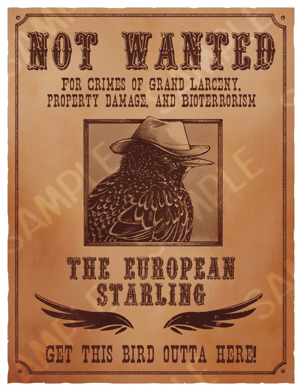 Invasive Species Not Wanted Poster Print: European Starling - Etsy