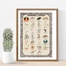 Indigenous Aboriginal Alphabet - Educational Resource PDF Digital ...