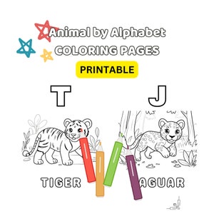 Coloring Pages Animal by Alphabet for Kids - Etsy