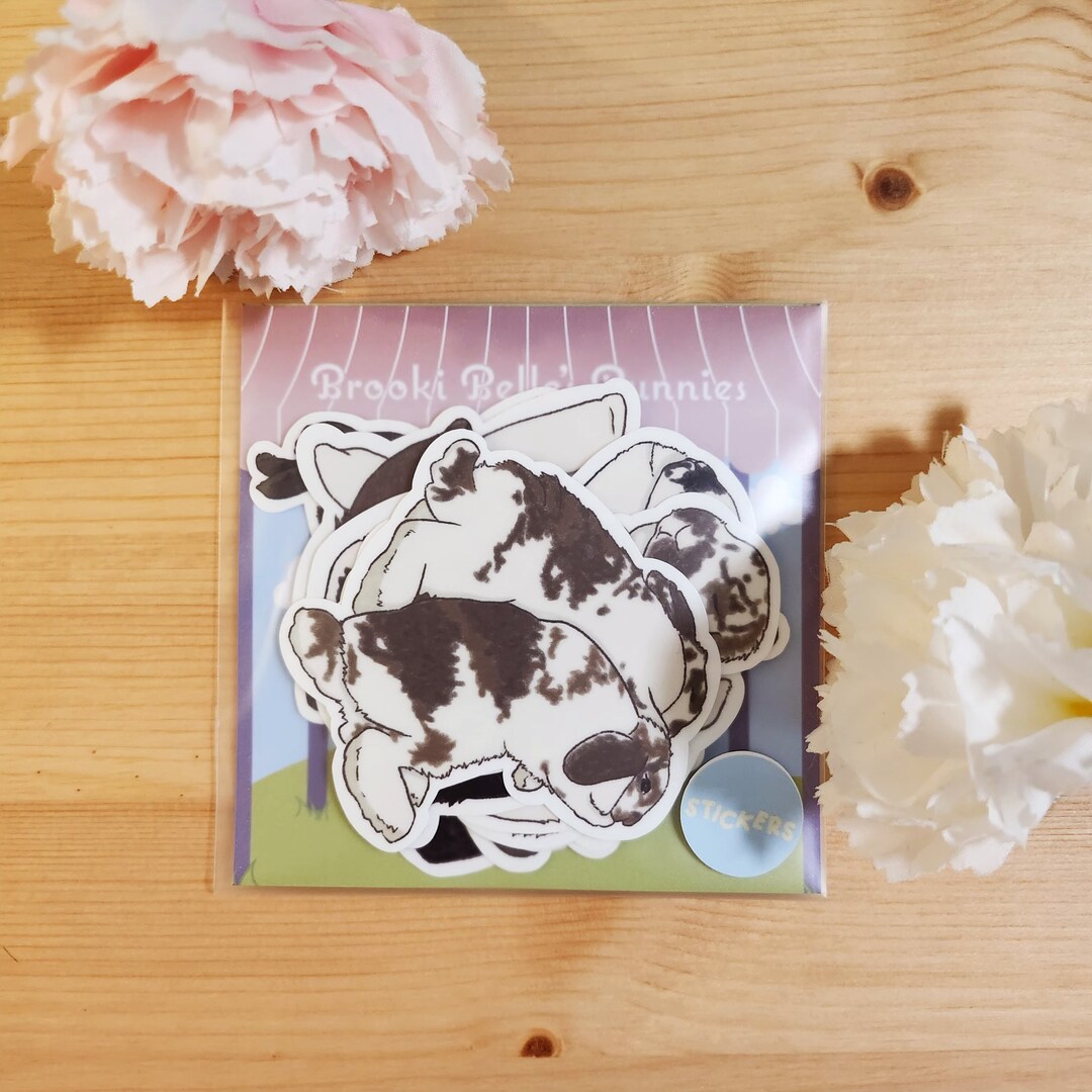 Brooki Belle's Bunnies - Hand Drawn Glossy Vinyl Sticker Pack - Etsy