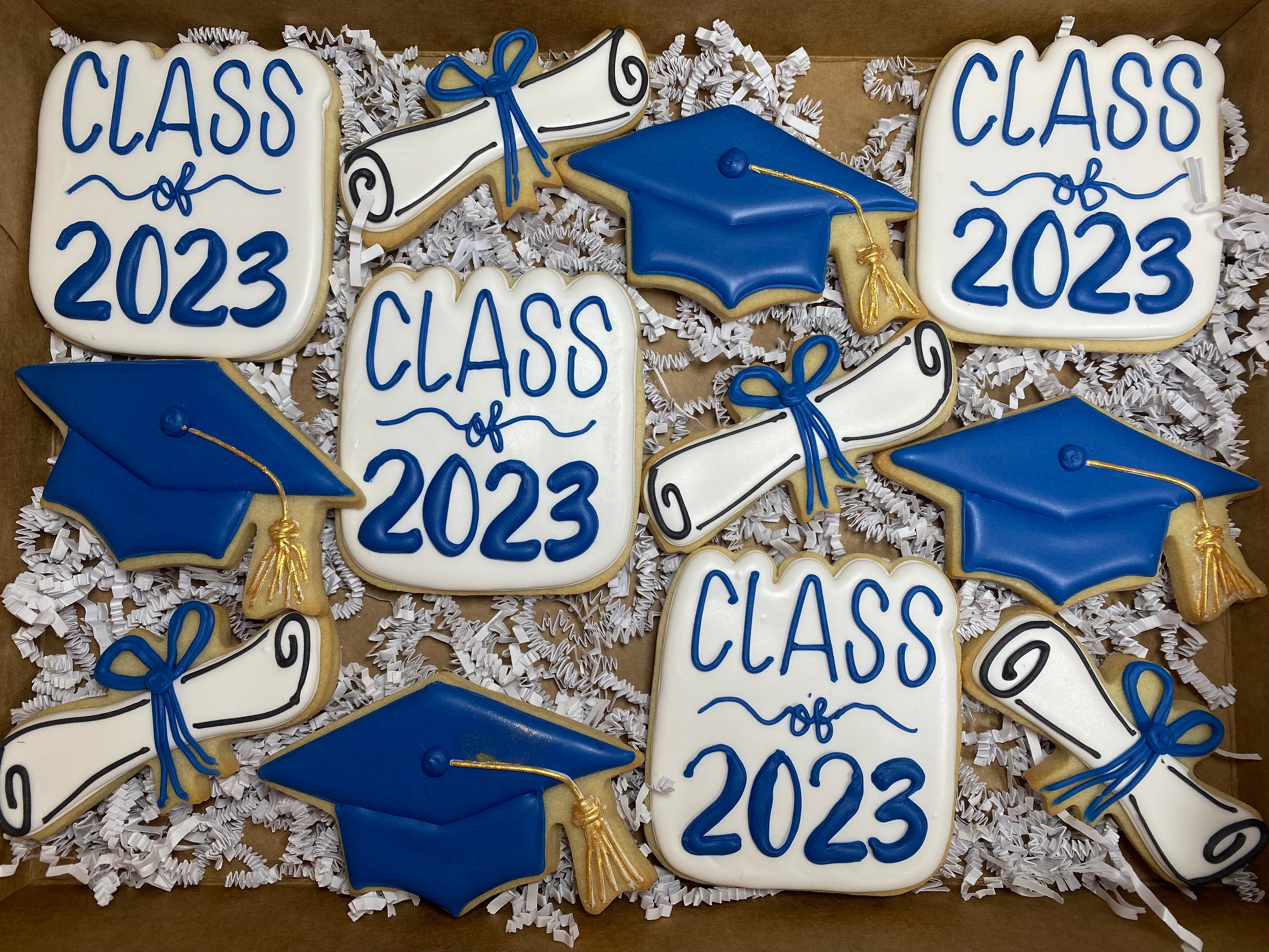 2025 Graduation Sugar Cookies - Etsy
