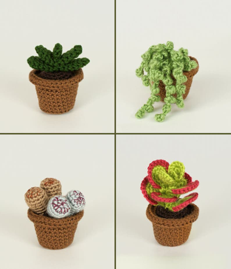 Succulent Collections 1 and 2 Eight Realistic Potted Plant - Etsy