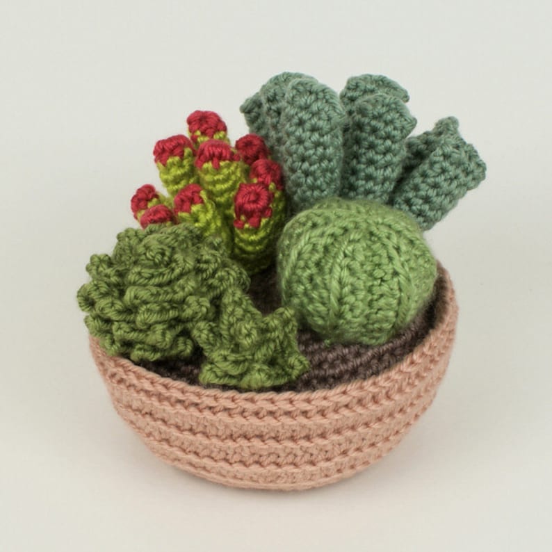 Succulent Collections 1 and 2 Eight Realistic Potted Plant - Etsy