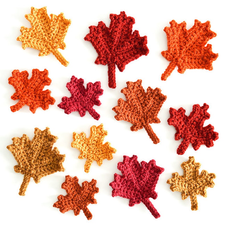 Maple Leaf Collection & Canadian Flag - Two Realistic Maple Leaves Plus ...