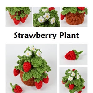 Strawberry Plant Amigurumi Potted Plant CROCHET PATTERN Digital PDF ...