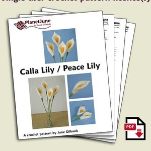 Calla Lily / Peace Lily CROCHET PATTERN Digital PDF File Download - Etsy