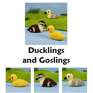 Ducklings and Goslings Amigurumi CROCHET PATTERN Digital PDF File ...