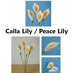 Calla Lily / Peace Lily CROCHET PATTERN Digital PDF File Download - Etsy